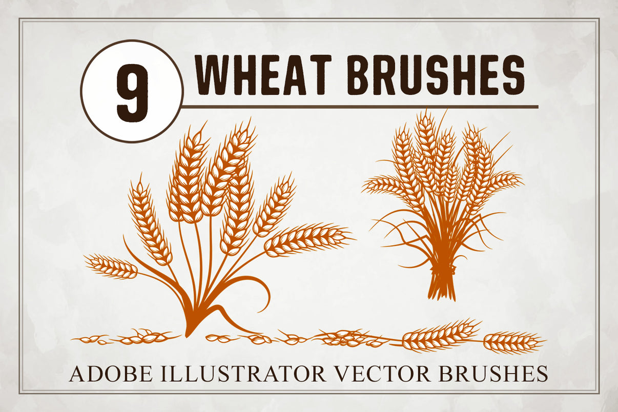 Wheat - Adobe Illustrator Vector Brushes – Dagubi